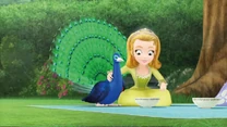 Scrambled Pets | Sofia the First Wiki | FANDOM powered by Wikia