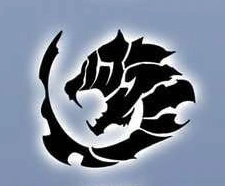 White Tiger Guild | Solo Leveling Wiki | Fandom