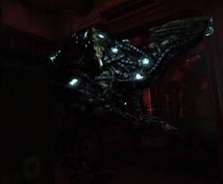 Construct | SOMA Wiki | FANDOM powered by Wikia