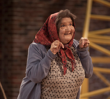 Candace Wheeler/Mrs. Bubkes | Some Assembly Required Wiki | FANDOM ...