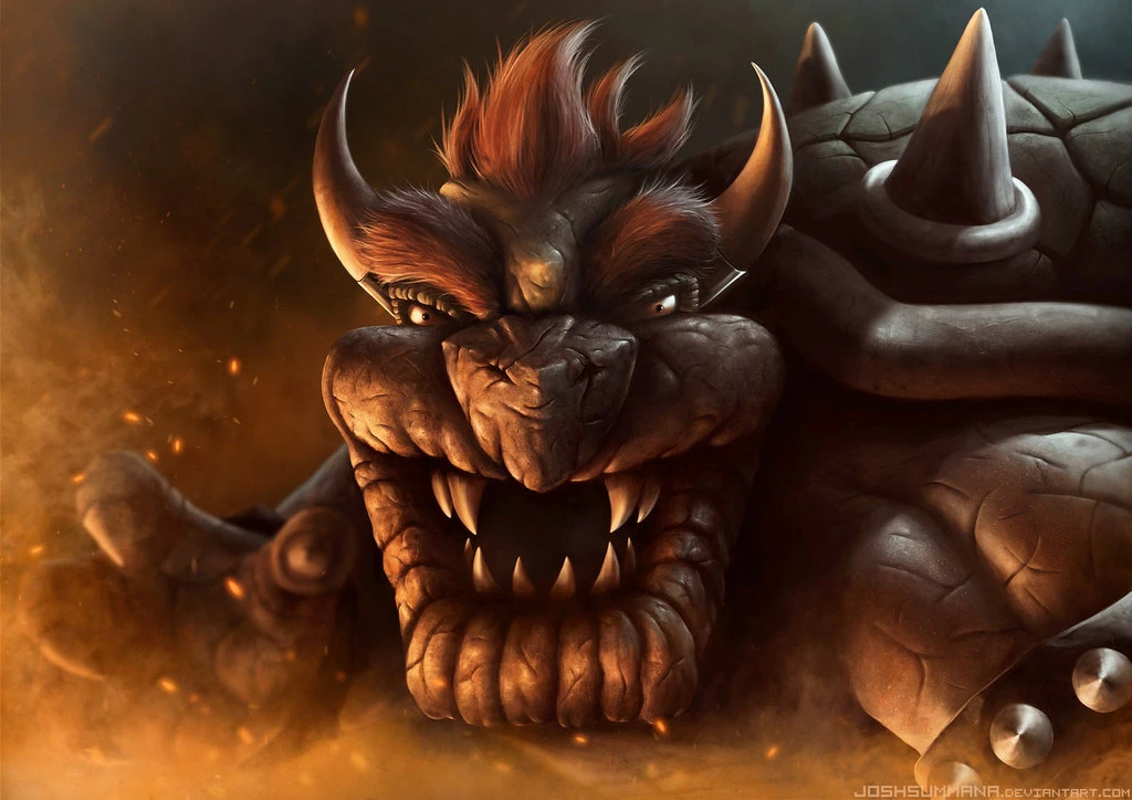 Bowser's Vengeance | SomeOrdinaryGamers Wiki | FANDOM powered by Wikia