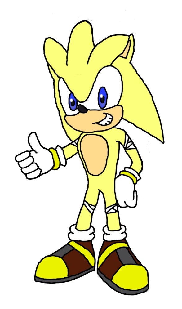 Knave the Hedgehog | Sonic Boom Legends Wiki | Fandom