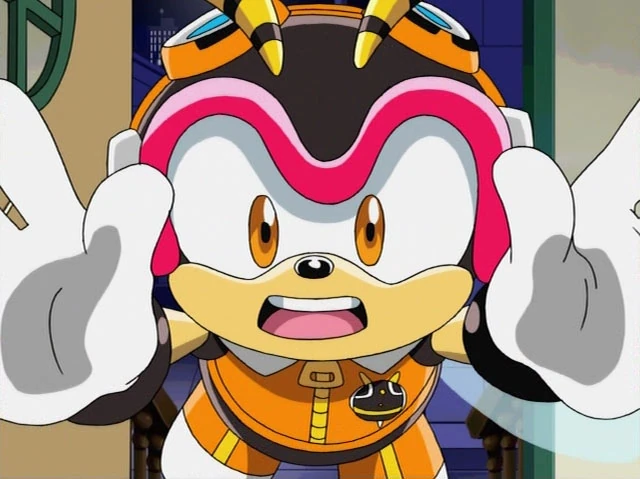 Charmy Bee (Sonic X) | Sonic X Wikia | FANDOM powered by Wikia