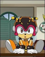 Charmy Bee/Gallery | Sonic X Wikia | Fandom