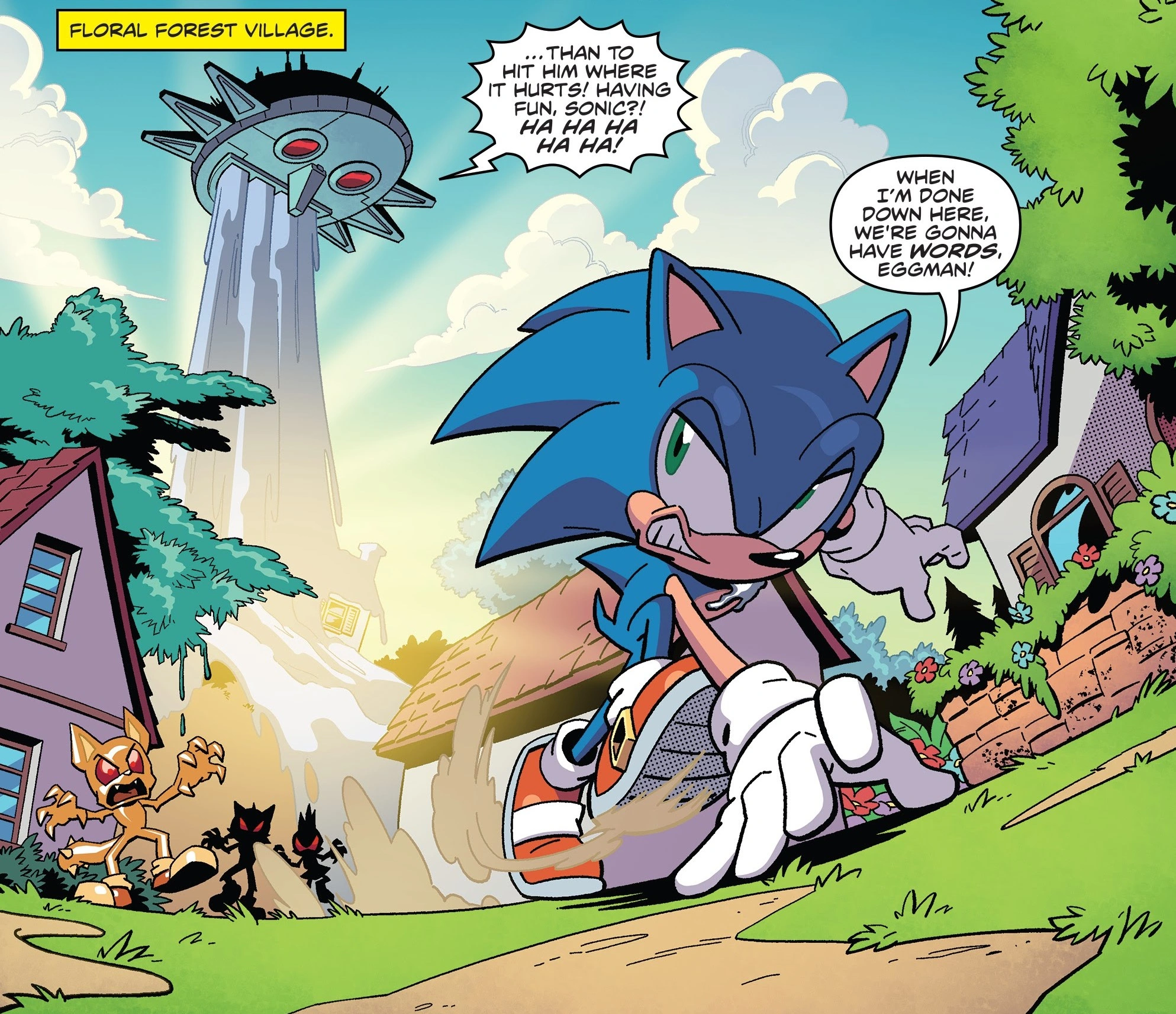 Floral Forest Village | Sonic News Network | Fandom