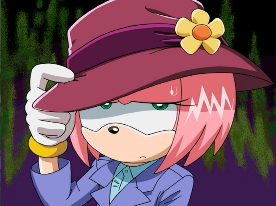 Image Ep15 Amy With Hatpng Sonic News Network Fandom Powered By Wikia