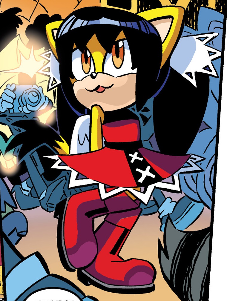 Honey The Cat Sonic News Network Fandom Powered By Wikia