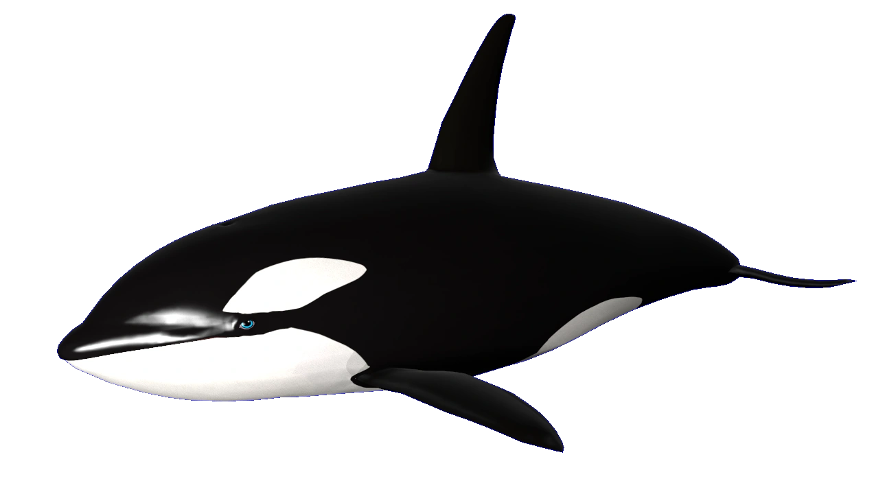 Orka | Sonic Wiki | FANDOM powered by Wikia