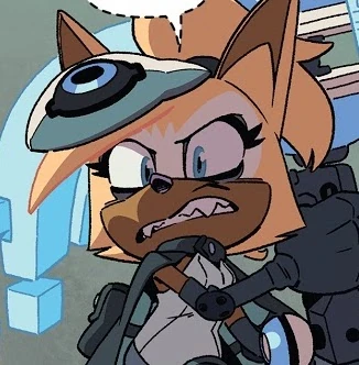 IDW Sonic the Hedgehog Issue 15 | Sonic News Network | Fandom