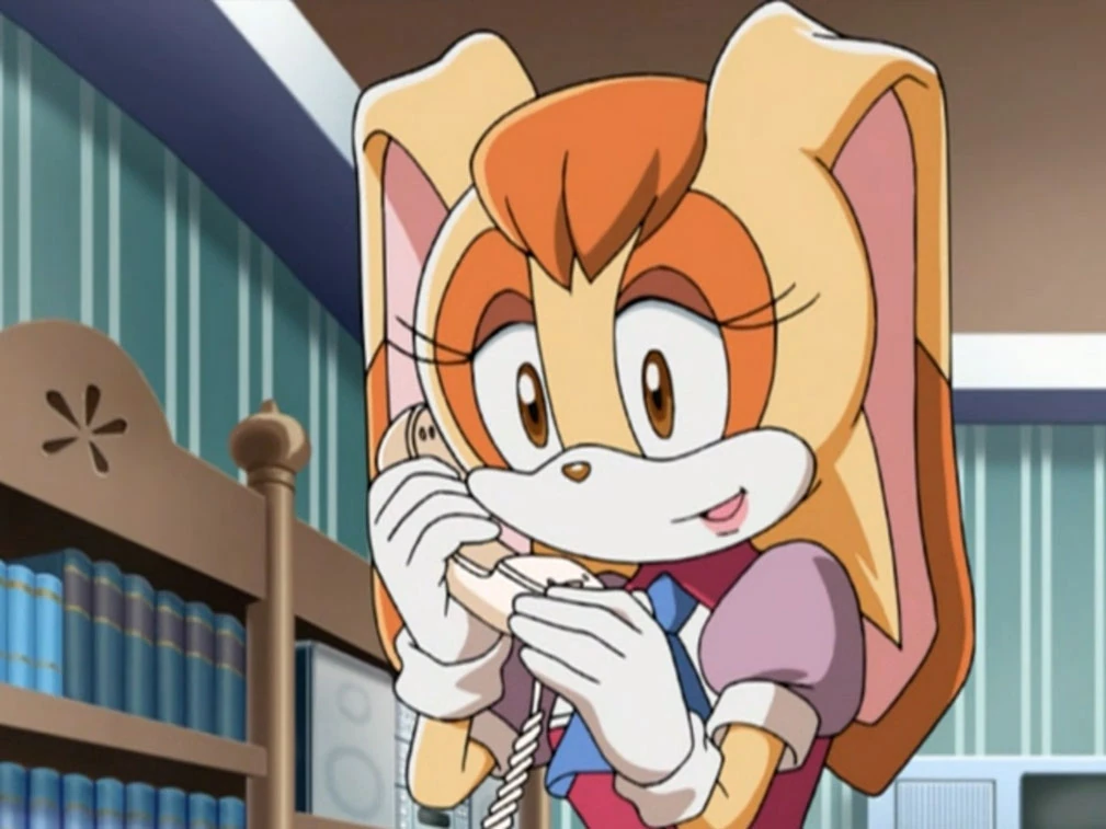 Vanilla The Rabbit Sonic X