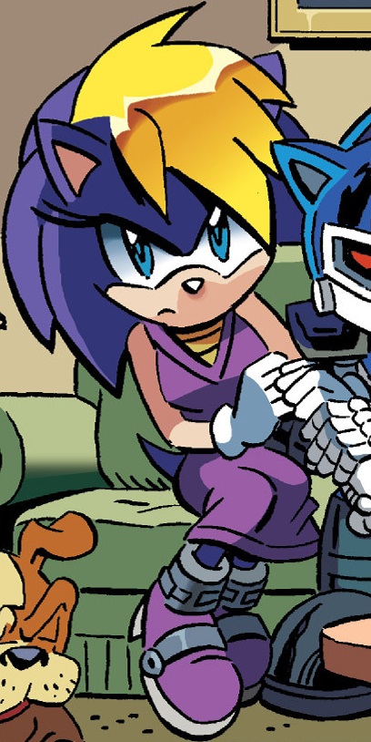 Bernadette Hedgehog Sonic News Network Fandom Powered By Wikia