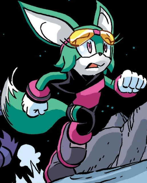 Sonar the Fennec | Sonic News Network | FANDOM powered by Wikia