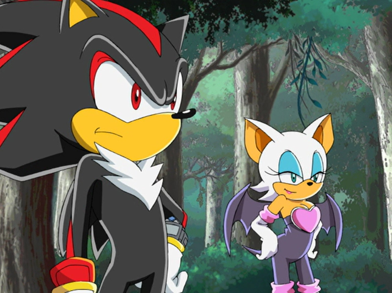 Image Shadow And Rouge Sonic X Sonic News Network Fandom
