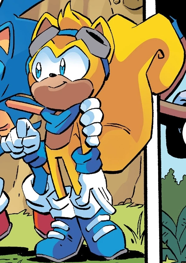 Ray the Flying Squirrel | Sonic Wiki | Fandom