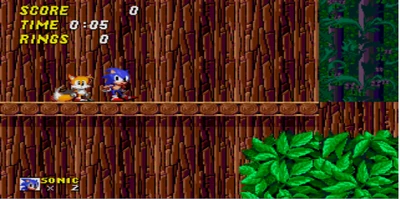 Wood Zone | Sonic beta Wiki | Fandom