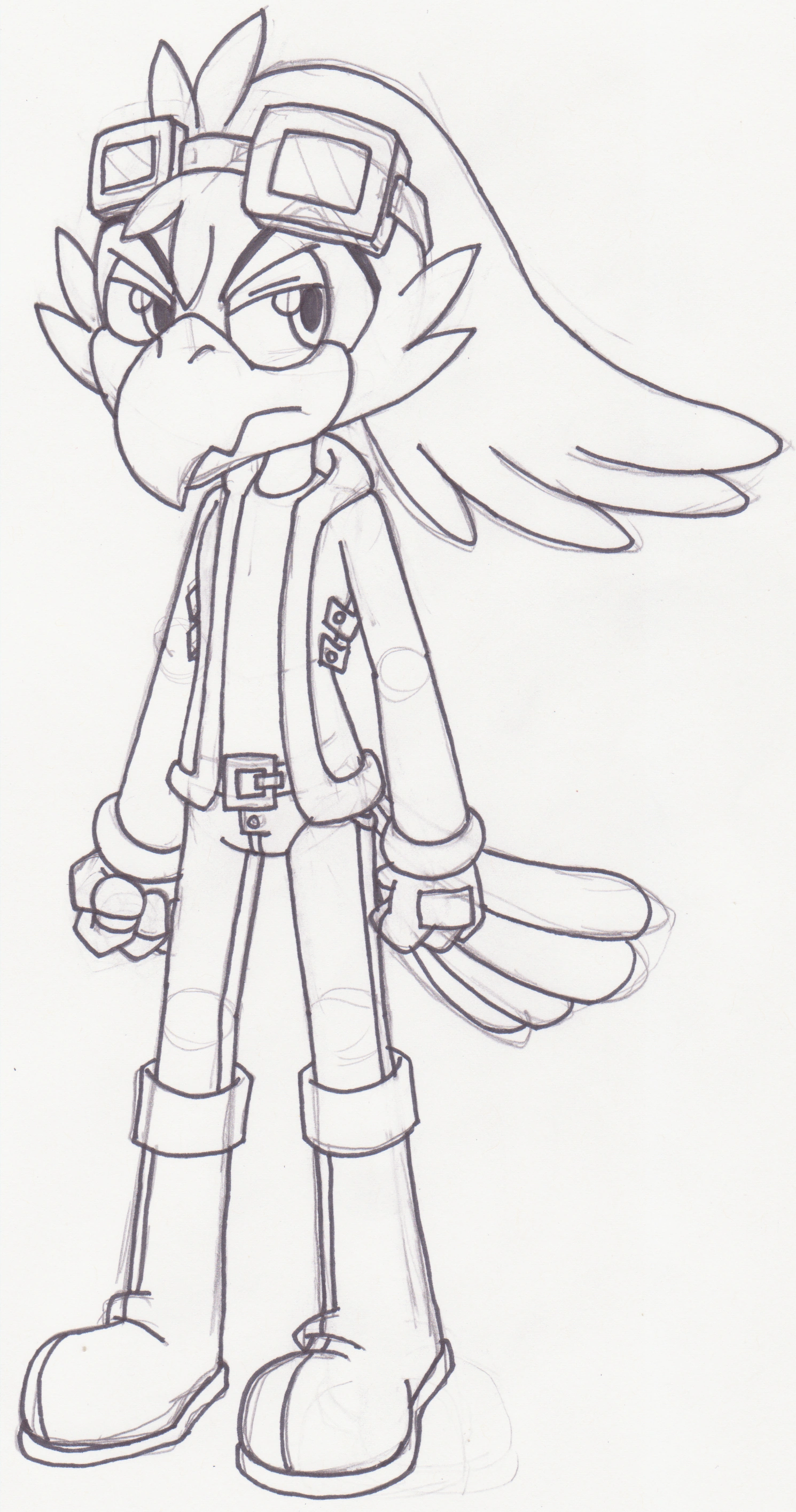 Jayce the Cockatoo | Sonic Fanon Wiki | FANDOM powered by Wikia