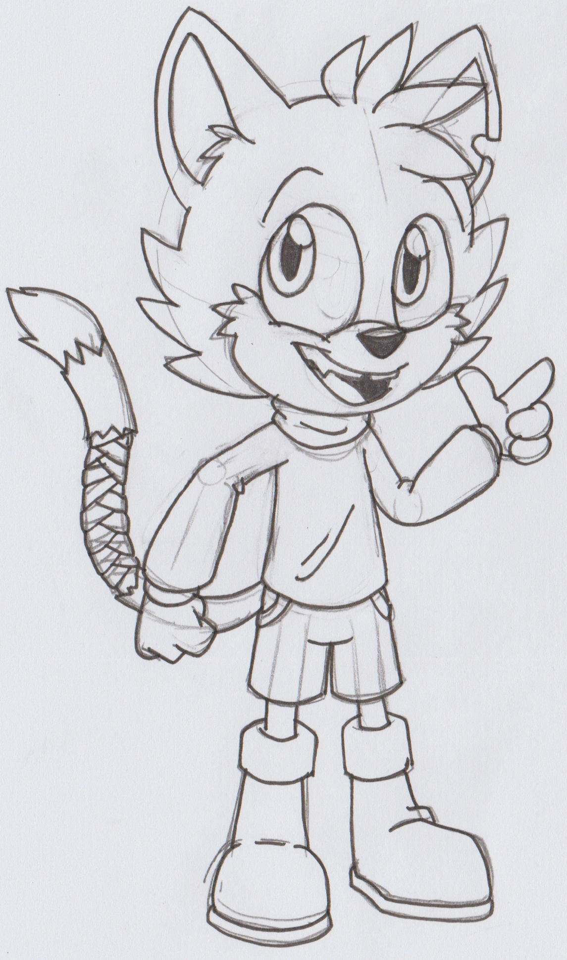 Calvin the Cat | Sonic Fanon Wiki | Fandom