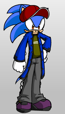 Andrew the Hedgehog | Sonic's Adventure Wiki | FANDOM powered by Wikia