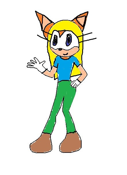 Roxy The Hedgehog Sonics Adventure Wiki Fandom Powered By Wikia