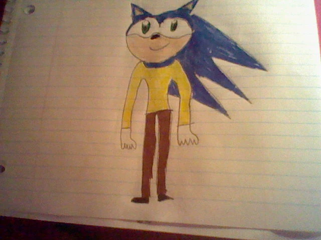 Lucas the Hedgehog | Sonic the Hedgehog Fanon Wiki | Fandom