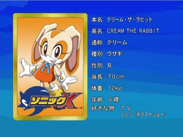 Cream the Rabbit (Sonic X) | SonicWiki | Fandom
