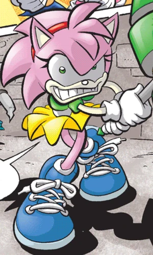 Rosy the Rascal | SonicWiki | FANDOM powered by Wikia