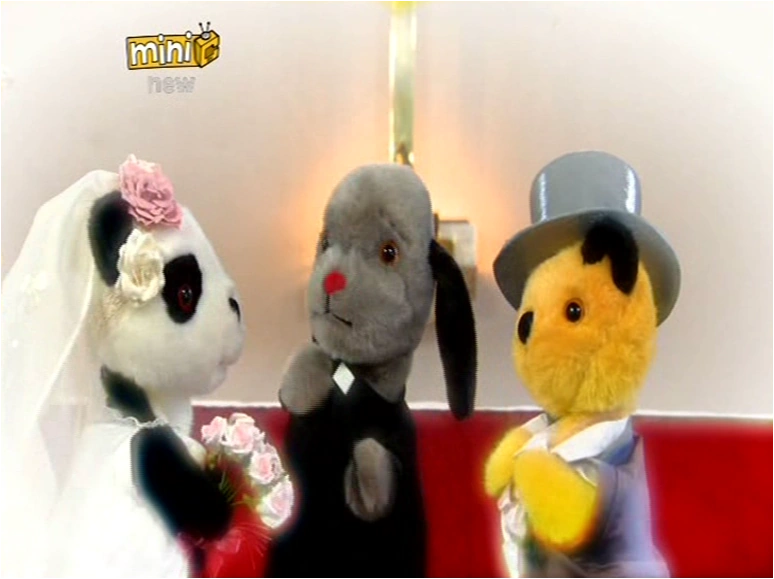 Image - TheWedding10.png | Sooty Database Wiki | FANDOM powered by Wikia