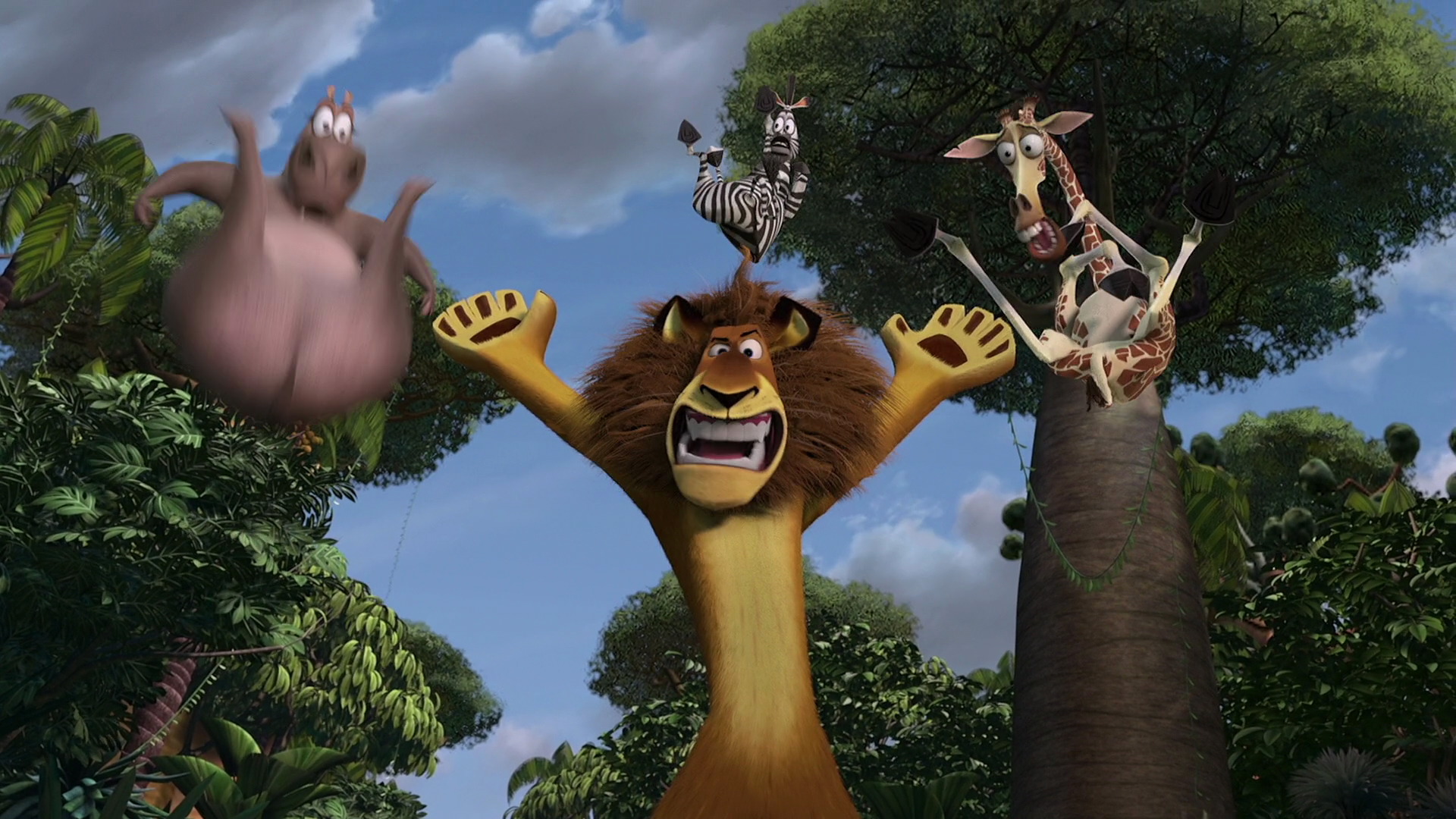 Image Madagascar Disneyscreencaps Com 8956 Soundeffects Wiki Fandom Powered By Wikia
