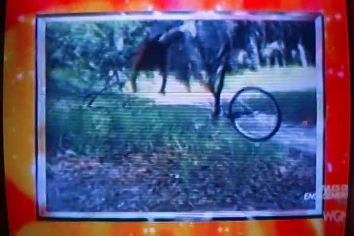 Sound Ideas, SCREAM - MALE: TERROR SCREAM, HUMAN, HORROR 01 ...