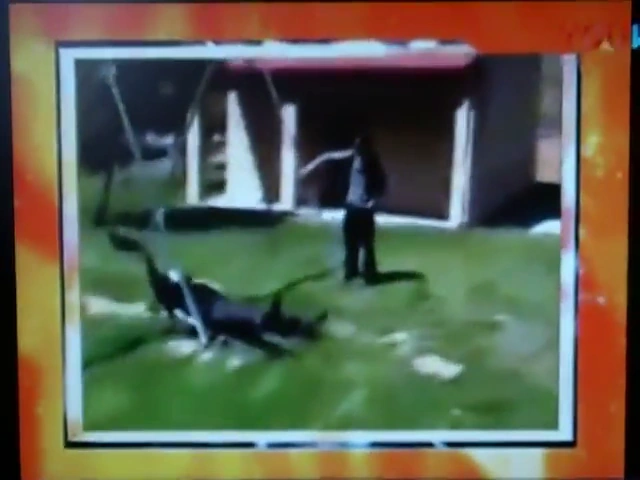 Sound Ideas, GONG - LARGE CHINESE GONG, MUSIC, PERCUSSION ...