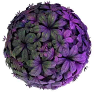 Adventure | Spacetoon Wiki | Fandom