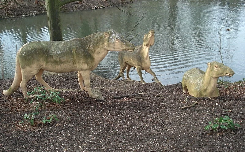 Category:Mammals | Speculative Evolution Wiki | FANDOM powered by Wikia