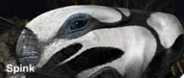 Spink | Speculative Evolution Wiki | Fandom