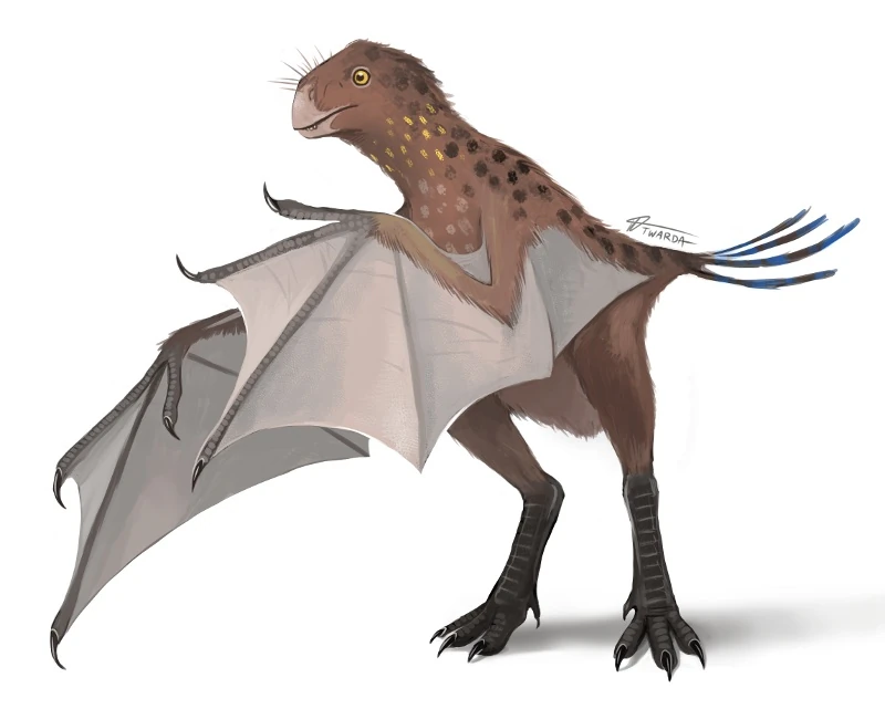 Mythologicon | Speculative Evolution Wiki | Fandom