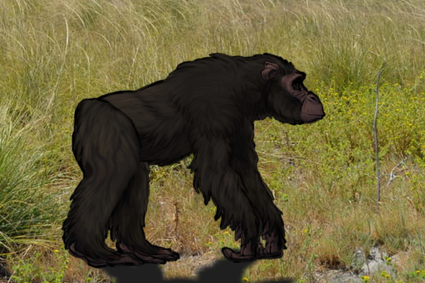 Plains chimpanzee (New Pleistocene) | Speculative Evolution Wiki | Fandom