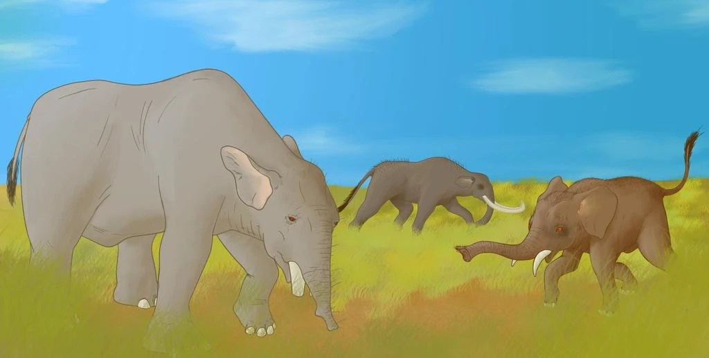 Elephantland | Speculative Evolution Wiki | Fandom