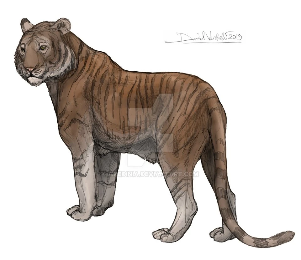 Alaskan tiger | Speculative Evolution Wiki | Fandom