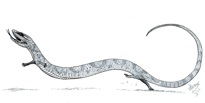 Basilisk Snake | Speculative Evolution Wiki | Fandom