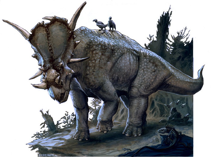 Ferrucutus Speculative Evolution Wiki Fandom Powered By Wikia