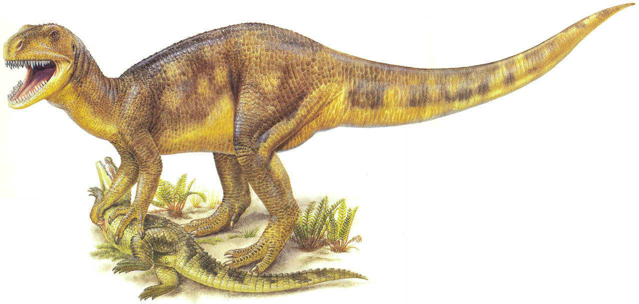 Megalosaur Speculative Evolution Wiki Fandom Powered By Wikia
