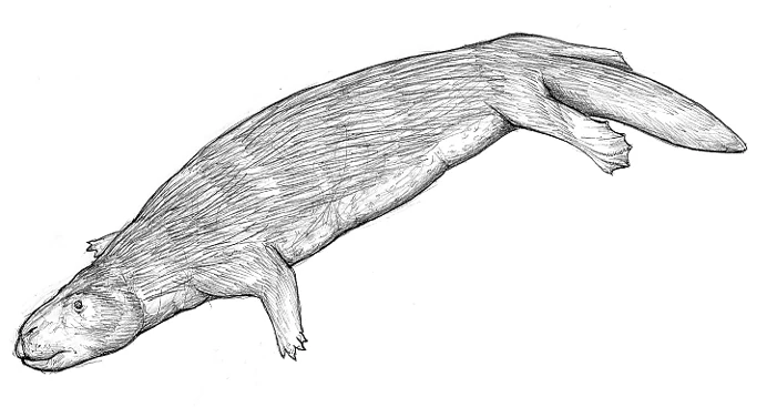 Spec Mammalia: Multituberculata | Speculative Evolution Wiki | Fandom