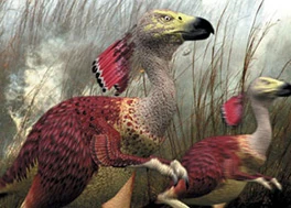 The Future is Wild Pack - The ZT2 Round Table