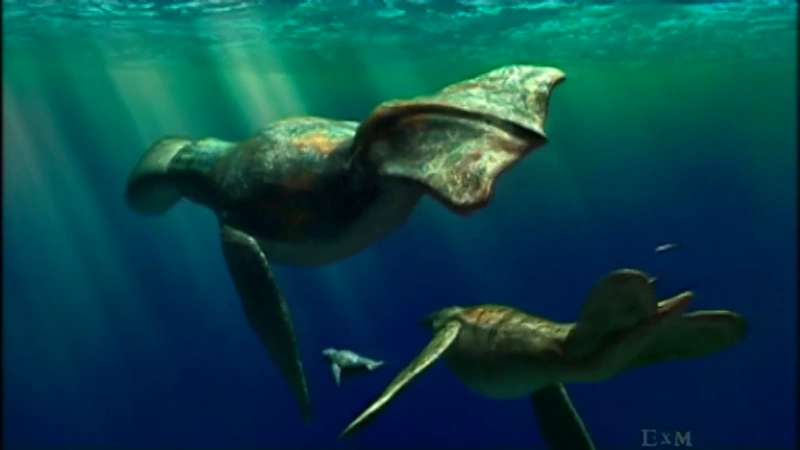 Category:Future Oceans | Speculative Evolution Wiki | Fandom