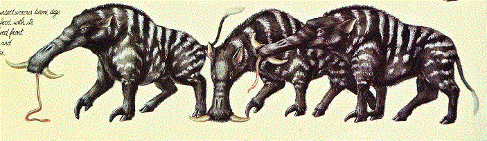 Turmi | Speculative Evolution Wiki | Fandom