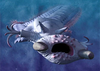 Slickribbon | Speculative Evolution Wiki | Fandom