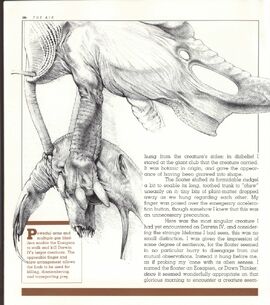 Eosapien | Speculative Evolution Wiki | Fandom