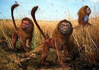 Babookari | Speculative Evolution Wiki | Fandom