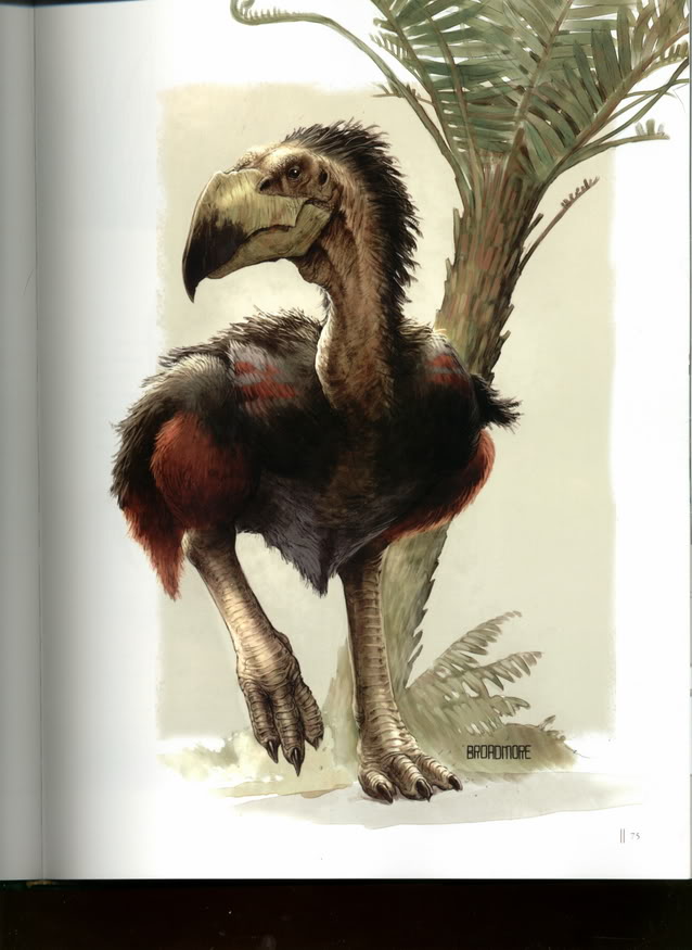 Zeropteryx Speculative Evolution Wiki Fandom Powered By Wikia