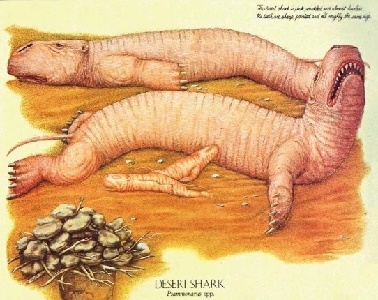 Desert Shark | Speculative Evolution Wiki | FANDOM powered by Wikia