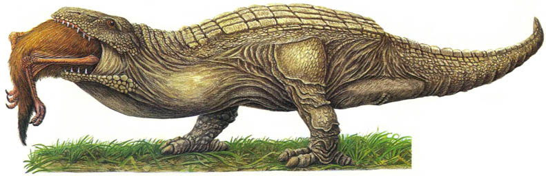 Gourmand | Speculative Evolution Wiki | Fandom Gourmand | Speculative Evolution Wiki | Fandom